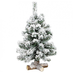 Bordsgranar - Billig rumsgran & minigran online - 9 kr frakt | Fyndiq ...