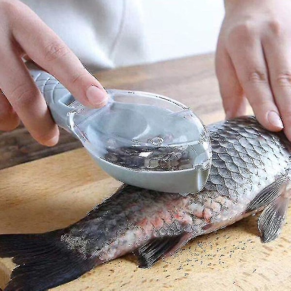 Fiskfjällsskrapa, fiskfjällsborttagare Fiskfjällsskrapa Rostfritt stål ... Fiskfjällsskrapa, fiskfjällsborttagare Fiskfjällsskrapa Rostfritt stål ...