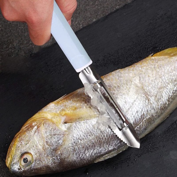Fiskfjällsskrapa Fiskfjäll i rostfritt stål Fiskfjällsskrapa - Ta ... Fiskfjällsskrapa Fiskfjäll i rostfritt stål Fiskfjällsskrapa - Ta ...