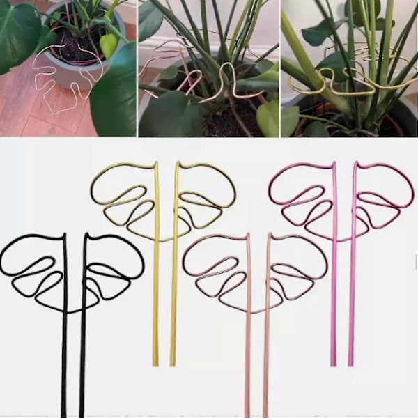 Monstera-formad Växtställning, Söta Bladformade Växtburar och Stöd ...