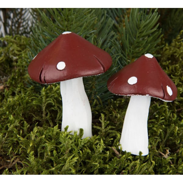 Flugsvamp röd och vit 6-7 cm vit , röd | Fyndiq