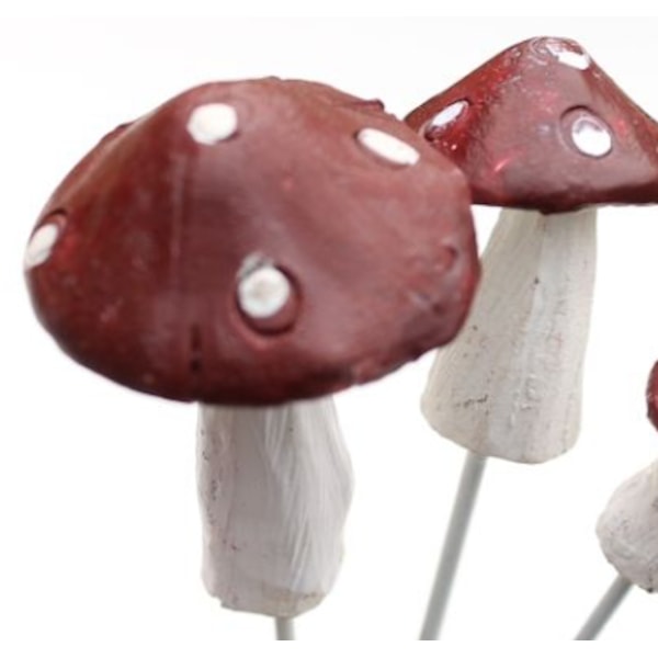 Flugsvamp röd och vit 6-7 cm vit , röd | Fyndiq