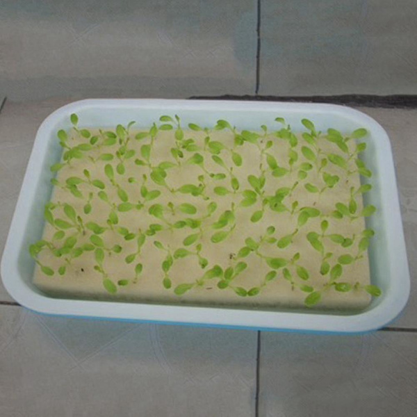 Hydroponisk svampeplantning Haveredskab Frøplantesvampe | Fyndiq