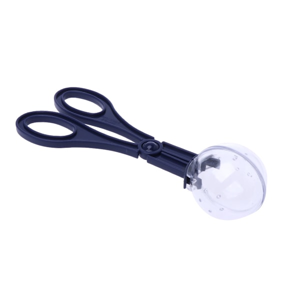 Hamstrar Marsvin Råtta Sköldpadda Syrsor Gräshoppor Akvarium Strö ...