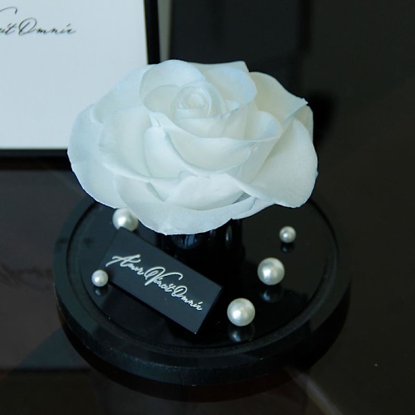 Vacker evighetsros i presentförpackning - En symbol för kärlek som ...