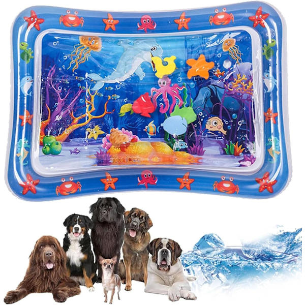 Katt sensorisk vattenmatta: Tjock Hairtail husdjur lek vatten ...