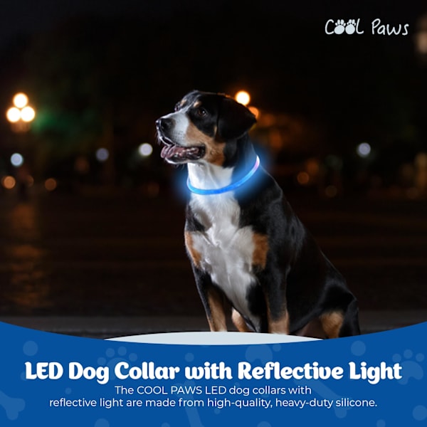 Vandafvisende LED-hundehalsbånd med reflekterende lys | Glow in The ... Vandafvisende LED-hundehalsbånd med reflekterende lys | Glow in The ...