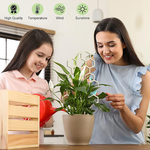 Spaljé för potted s spaljé inomhus trä honungskaka form | Fyndiq