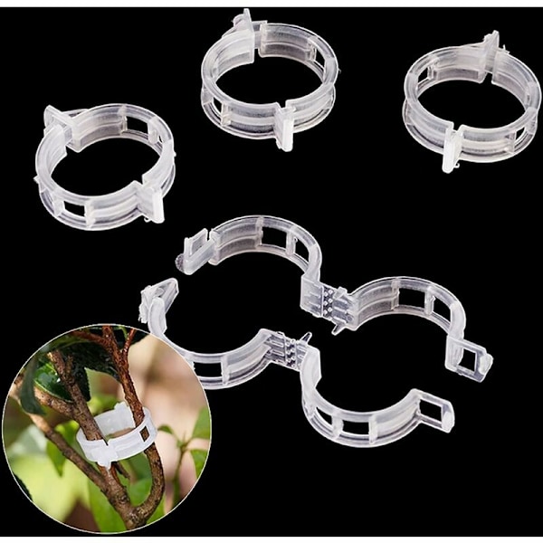 200-pack växtstöd clips, mini plast vinrankor ringar för tomater, rosor ...