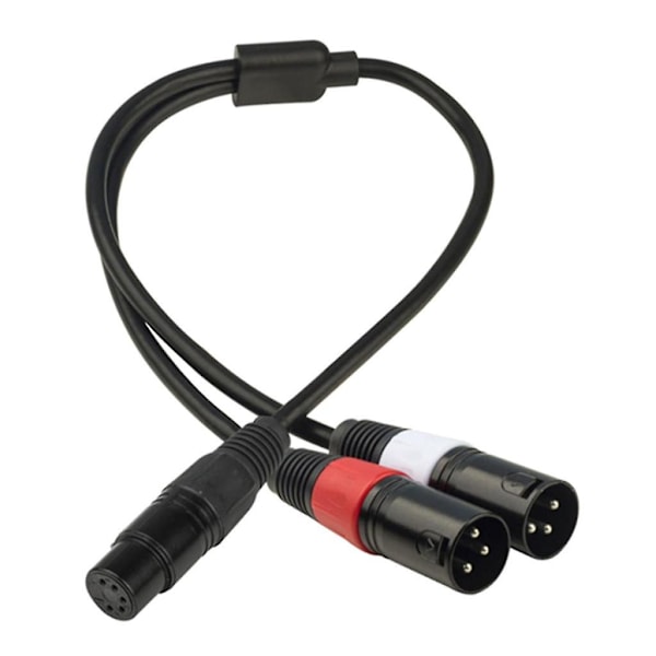 XLR 5-Pin Han til Dobbelt 3-Pin Hun 2CH Kamera Lydkabel Ledning XLR ...