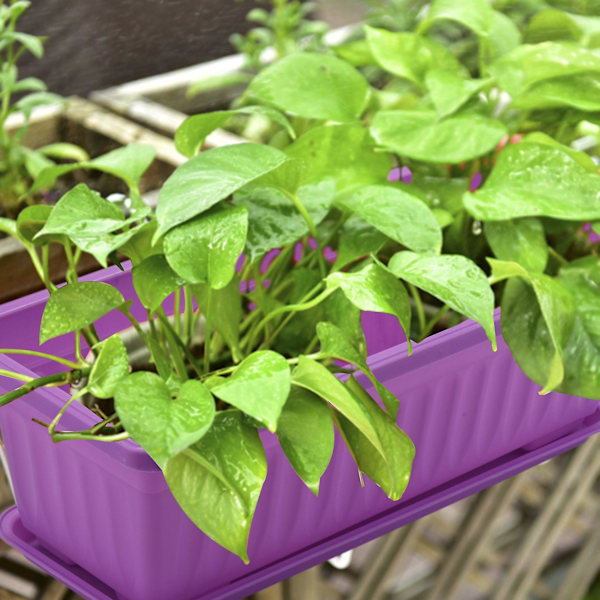 3 kpl 17 tuuman violetit kukkalaatikot muoviset vihannesviljelijät ikkunalaudalle, terassille ...