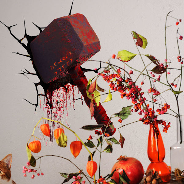 12 Plast Duschdraperi Ringar Krokar Badrum Duschdraperi | Fyndiq