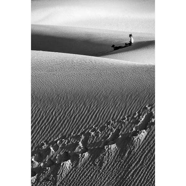 Parallel World Poster 21x30 cm 7910 | 21x30 cm | Fyndiq