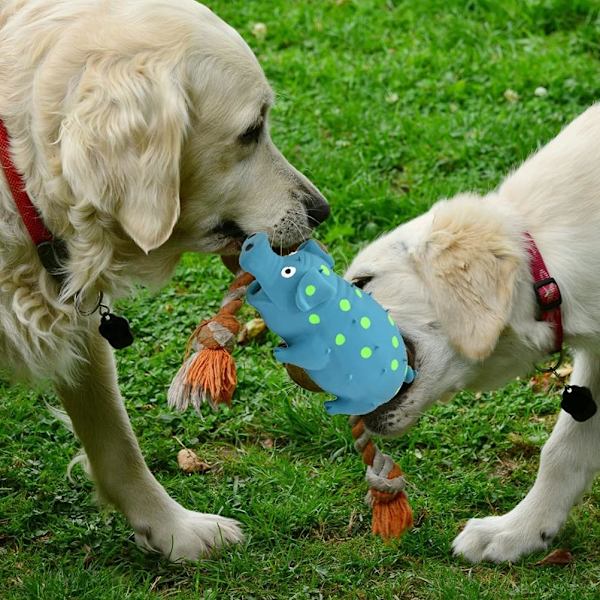 Pig Piper Interaktiv Tuggleksak för Hundar, Liten till Mellanstor | Fyndiq