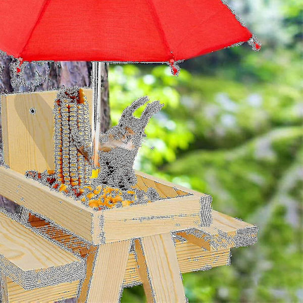 Säältä suojattu oravan piknikpöytä, puinen oravan ruokinta-asema ...