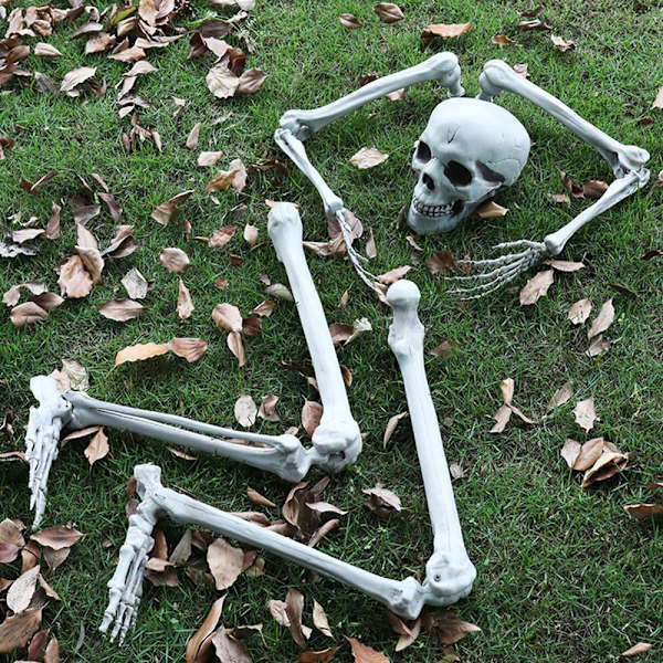 Skelet Halloween i 5 dele d400 | Fyndiq