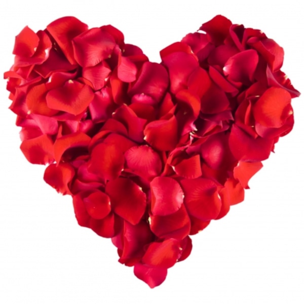 Ruusun terälehdet 500kpl | Fyndiq