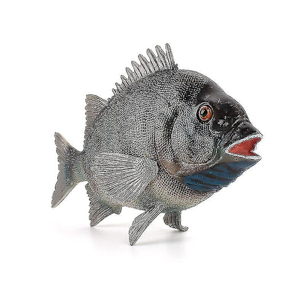 Tropisk Gigantisk Gummi Fisk Figur Spel Set dc65 | Fyndiq